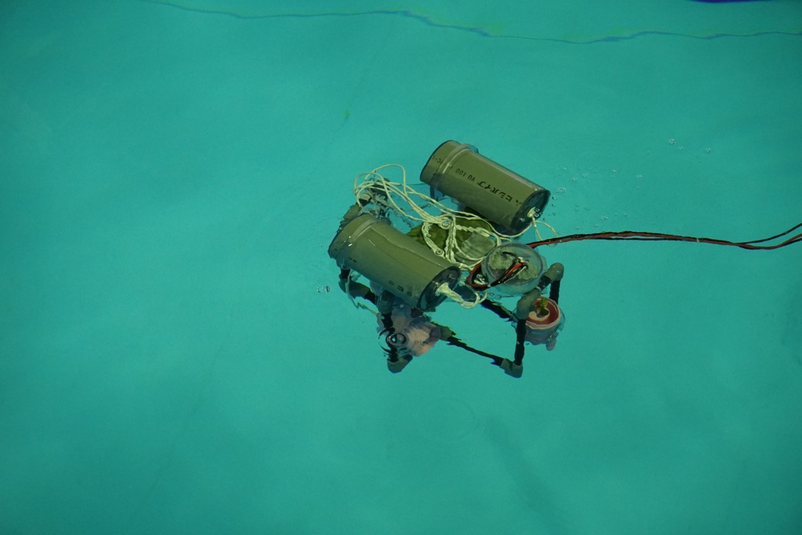 LOGO1 – 水中ロボットコンベンション in JAMSTEC 2019 ～海と日本プロジェクト～